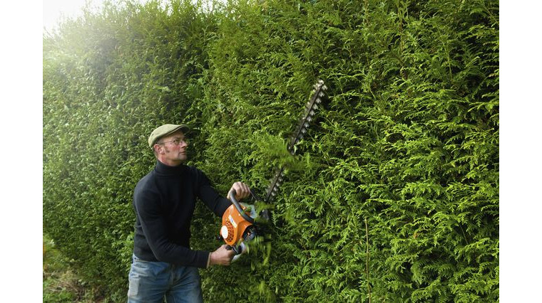 Toutes nos astuces pour protéger votre jardin du vent